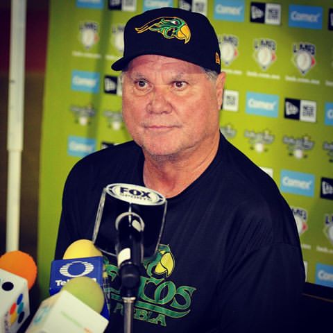 Tim Johnson asume el mando de los Tigres de Q Roo | Cancún Mío