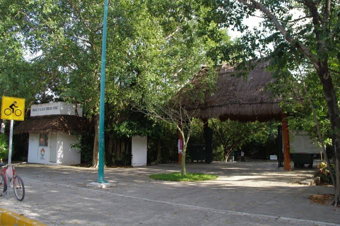 Parque Kabah y ombligo verde abren sus puertas | Cancún Mío