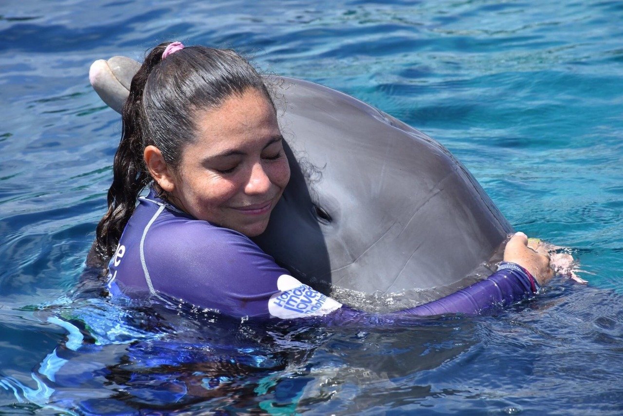 The Dolphin Company cumple 16 años como una empresa socialmente ...