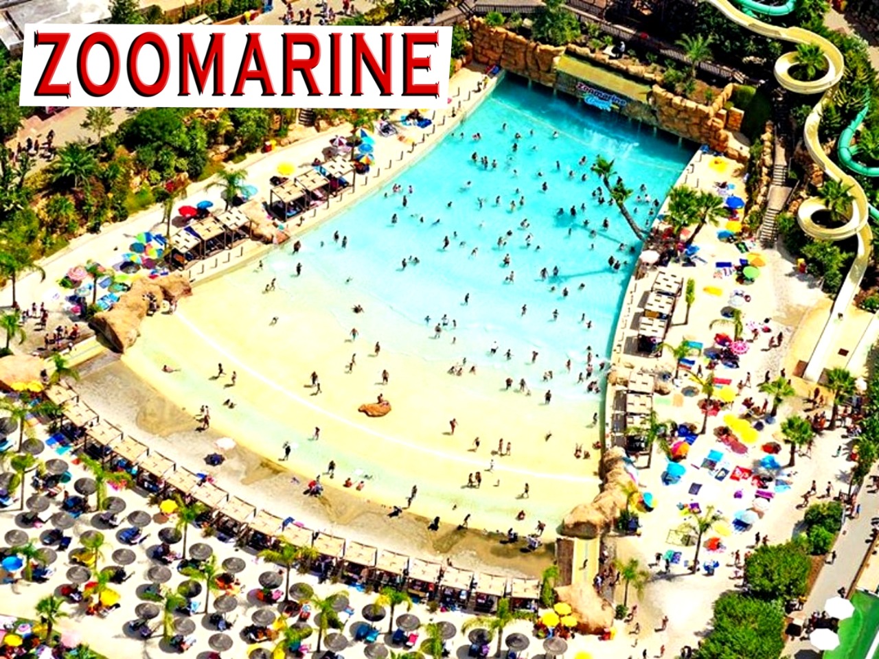 Dolphin, experiencias para toda la vida | Cancún Mío