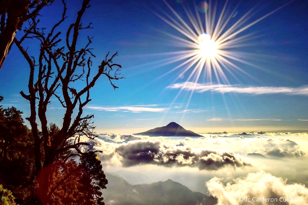 Rutopía, una opción ecológica para viajar en Semana Mayor | Cancún Mío