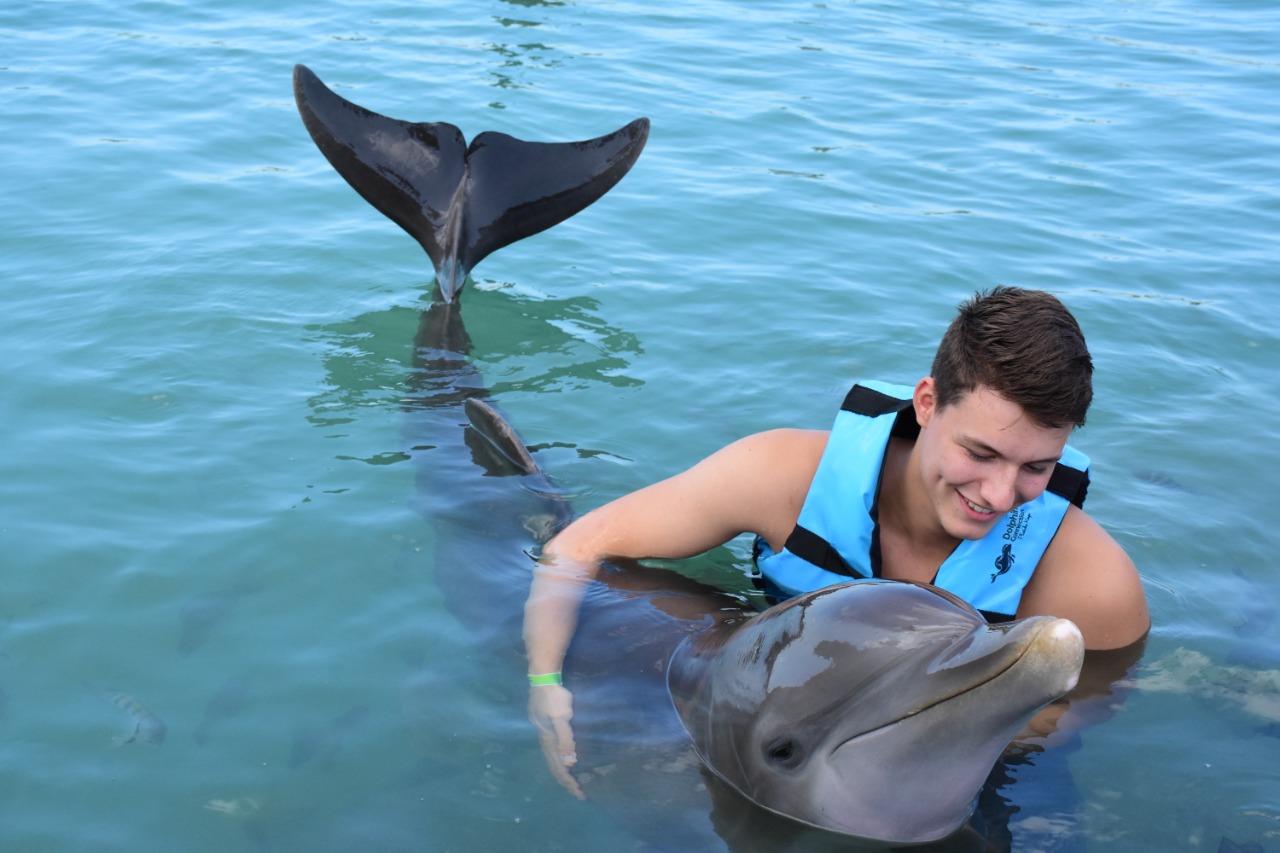 Ocho hábitats de The Dolphin Company cuentan con certificación American ...