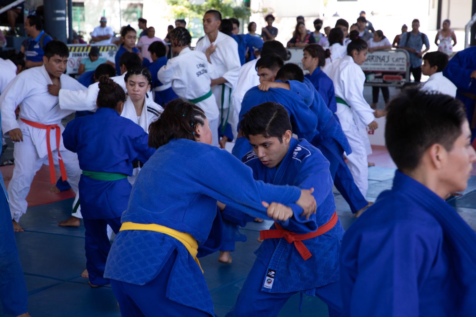 Tulum Recibe a judocas de Quintana Roo | Cancún Mío